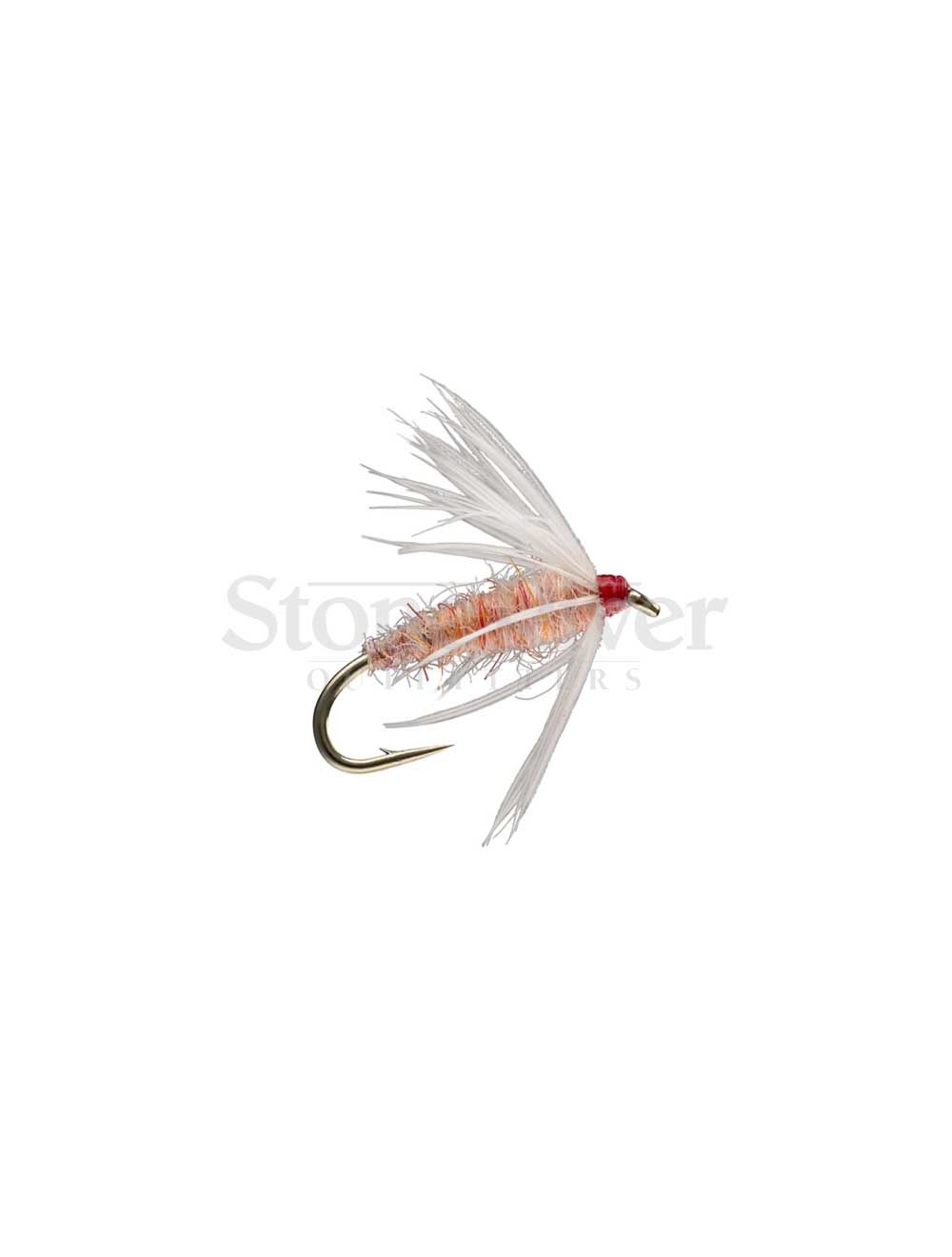 Sow Bug Fly